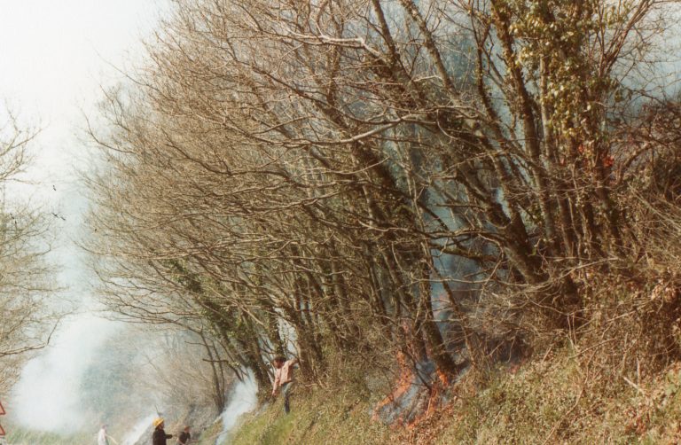 1983 A388 Treburley 003 | Launceston Then!